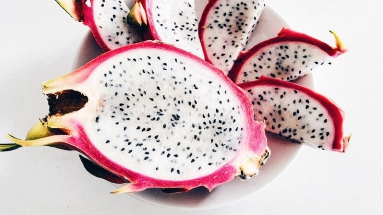 9 Edible Succulents That Are Delicious – Succulents 101